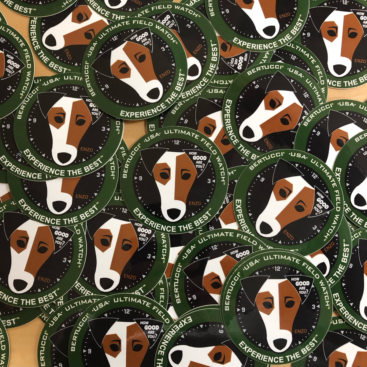 #A0034 Bertucci Enzo All Weather Decal – Bertucci Watches